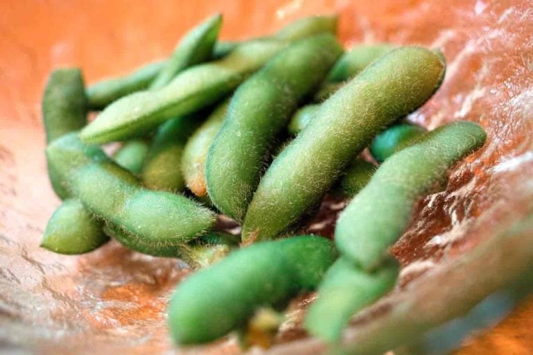 Edamame with Dressing | Diet info bits